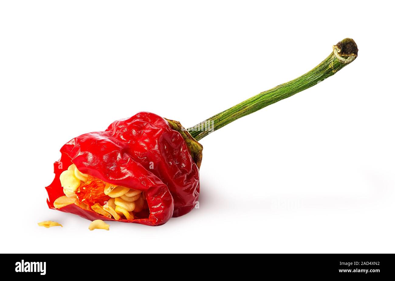 Chilli pepper seeds hi-res stock photography and images - Alamy