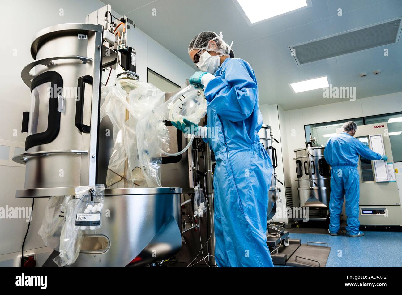 Gene therapy production unit. Technicians at work in the bioreactor ...
