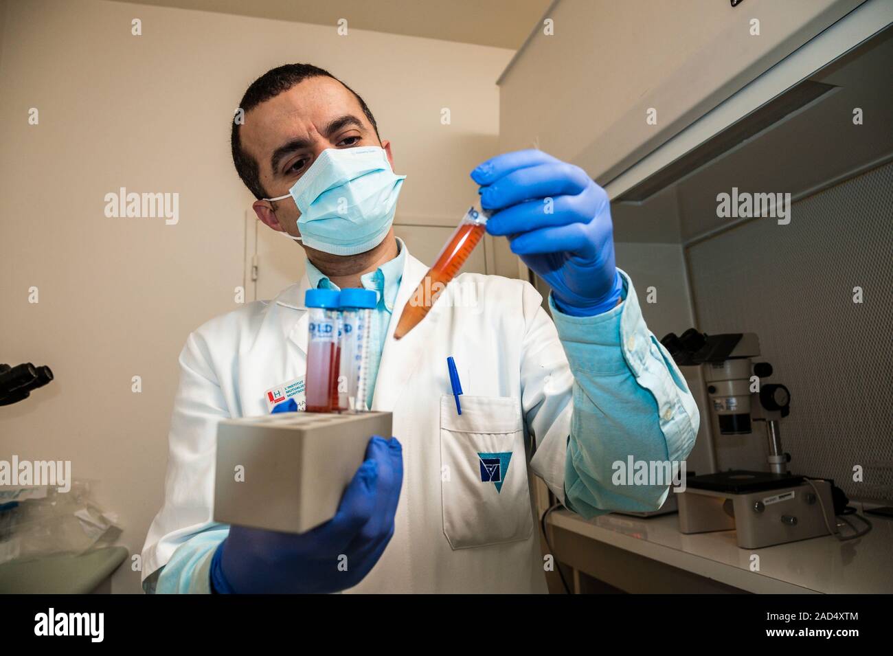 In vitro fertilisation (IVF). A doctor examines tubes of fluid from ...