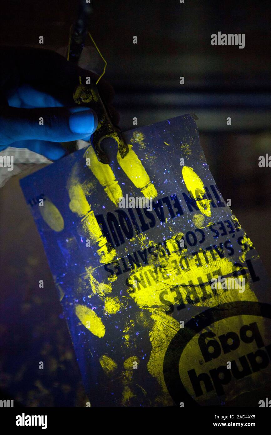 Lumicyano fingerprint detection. A handprint appears under blue light ...