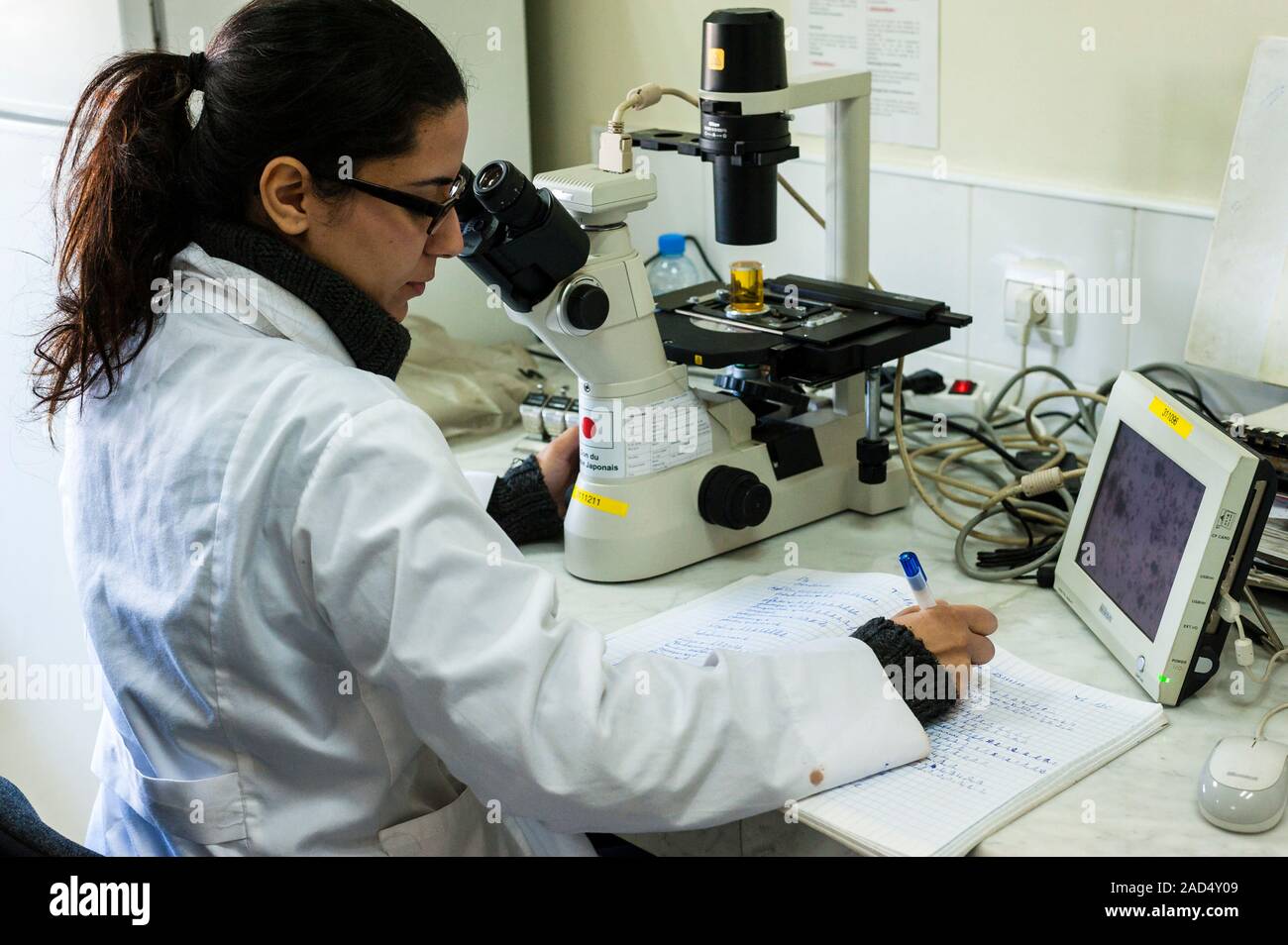 Plankton research. A scientist records data from a sample of plankton ...