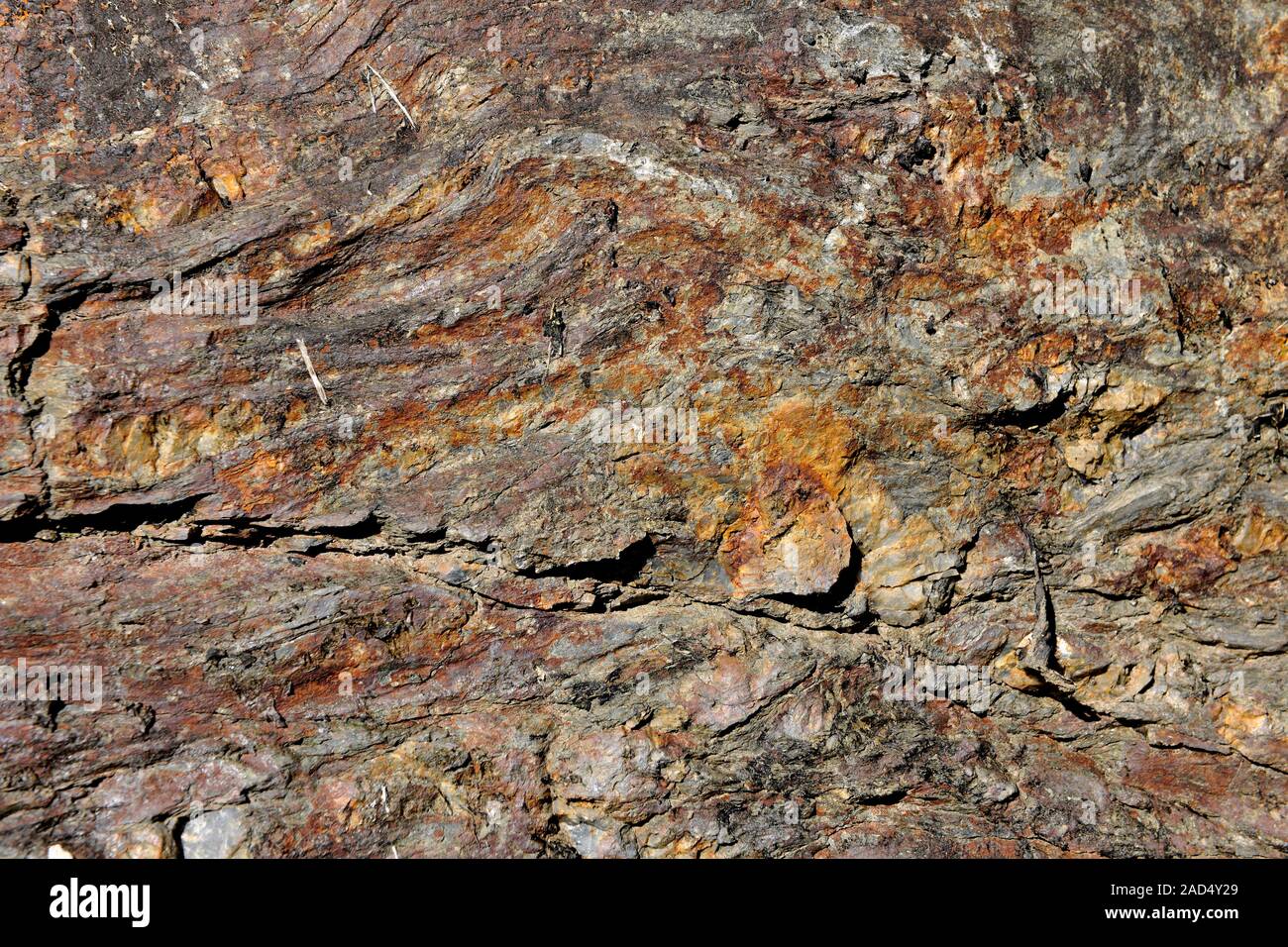 Rock face with micro-folds. Fractures create spacings in the rock that ...