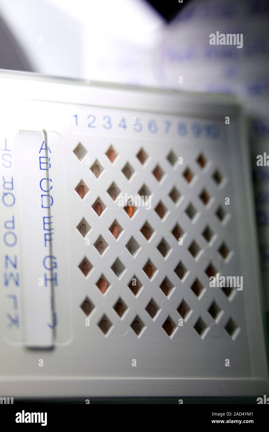 Electron microscopy copper grid. In electron microscopy, samples are ...