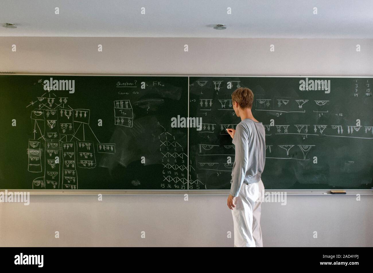 Mathematics education. A student adds to mathematical diagrams on a ...