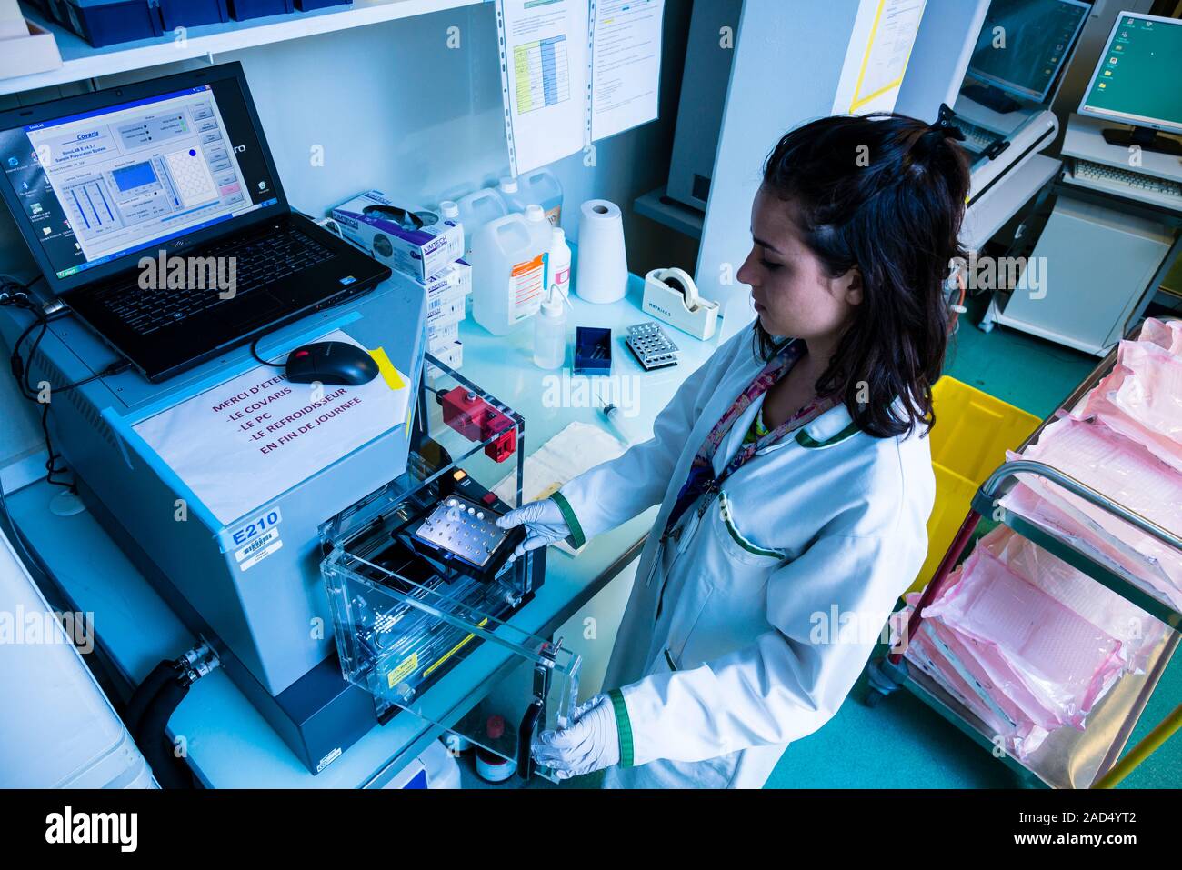 A technician introduces DNA (deoxyribonucleic acid) samples into a ...