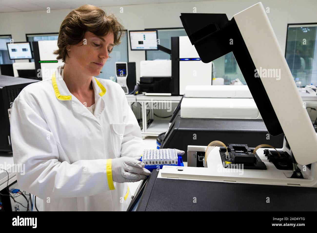 Automated DNA amplification. A technician prepares samples to be placed ...