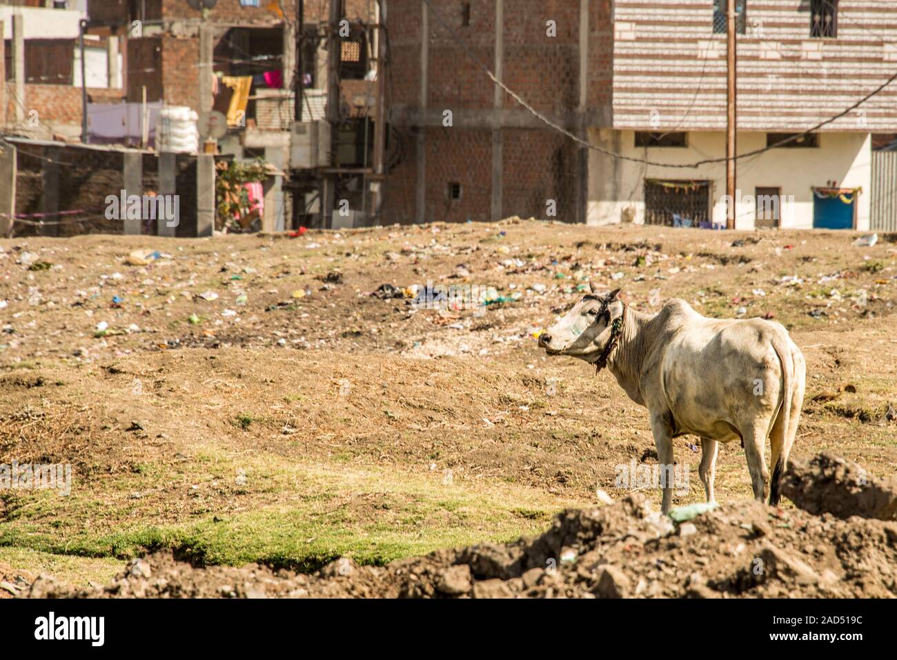 Union Carbide Chemical Plant, Bhopal, India Stock Photo - Alamy
