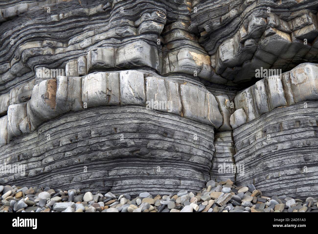 Cliffs of stratified marine sedimentary rocks at Cei Bach in West Wales ...