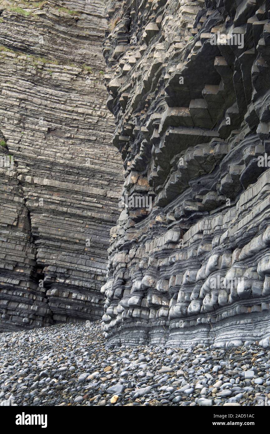 Cliffs of stratified marine sedimentary rocks at Cei Bach in West Wales ...
