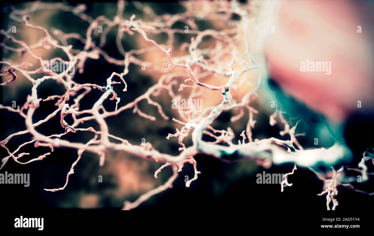 Nerve cell and dendrites, illustration. Neurons are responsible for ...