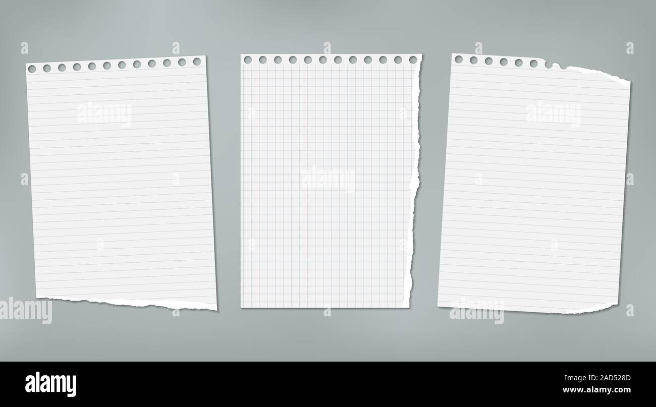 Torn white, squared and lined note, notebook paper pieces stuck on grey ...