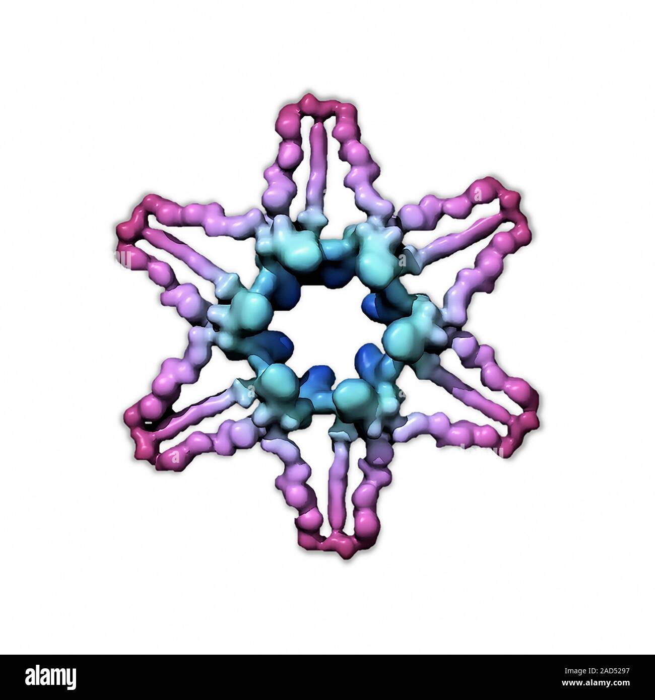 Inactivated myosin, molecular model. Myosins are a large family of ...