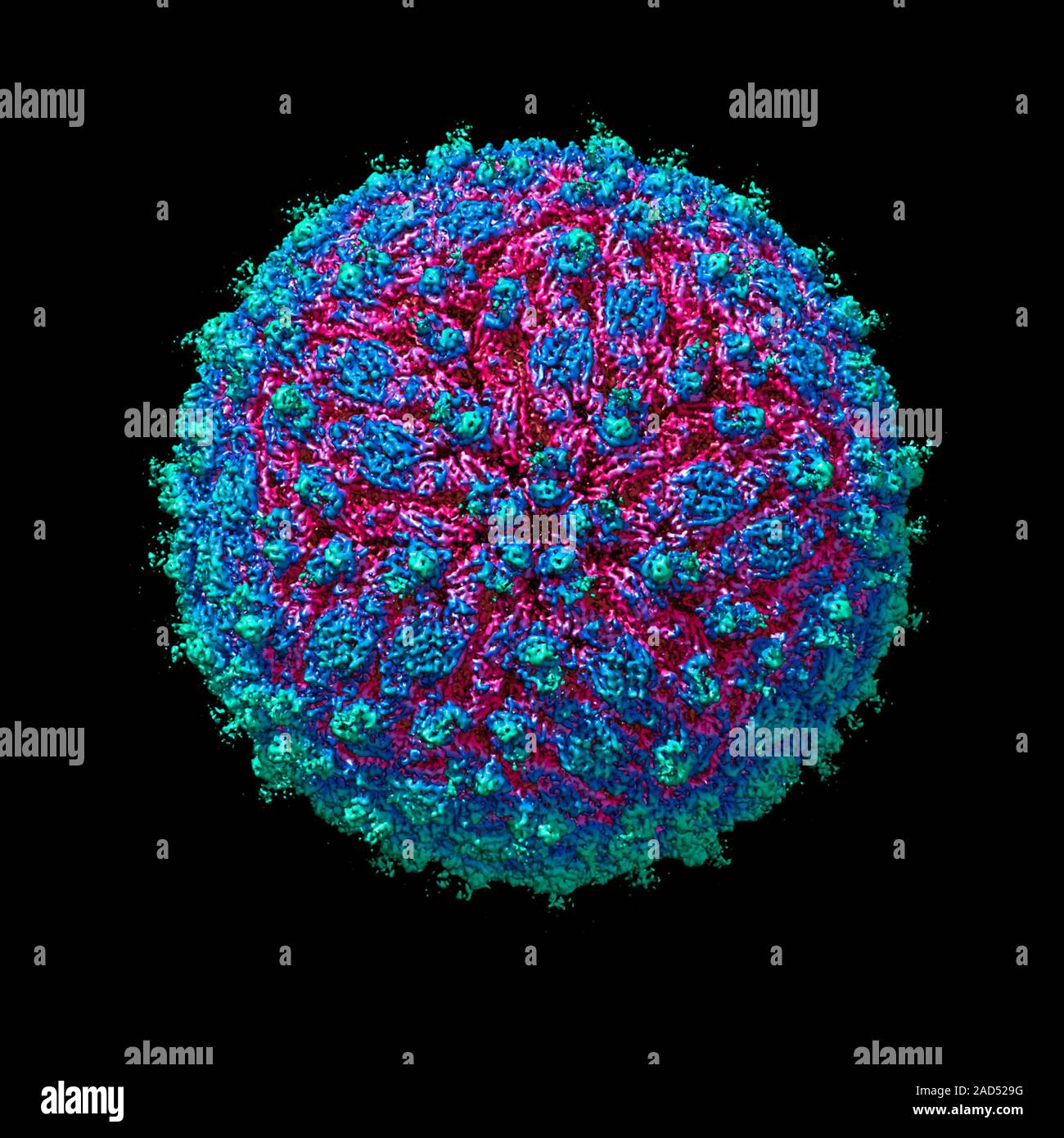 Zika virus envelope, molecular model. This is an RNA (ribonucleic acid ...
