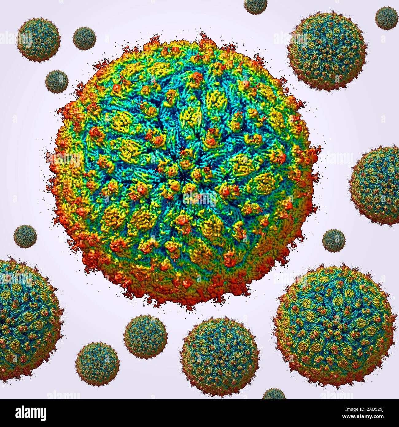 Zika virus particles, molecular model. Zika virus is an RNA ...