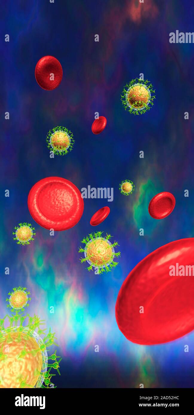 Red blood cells and viruses. Illustration of red blood cells (red) and ...