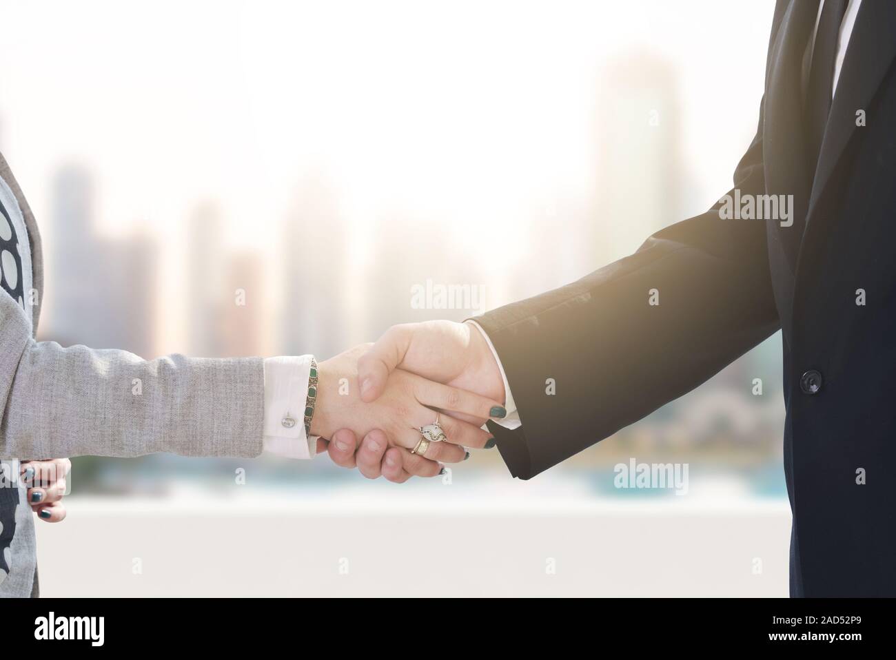 Business man and woman handshake on meeting Stock Photo - Alamy