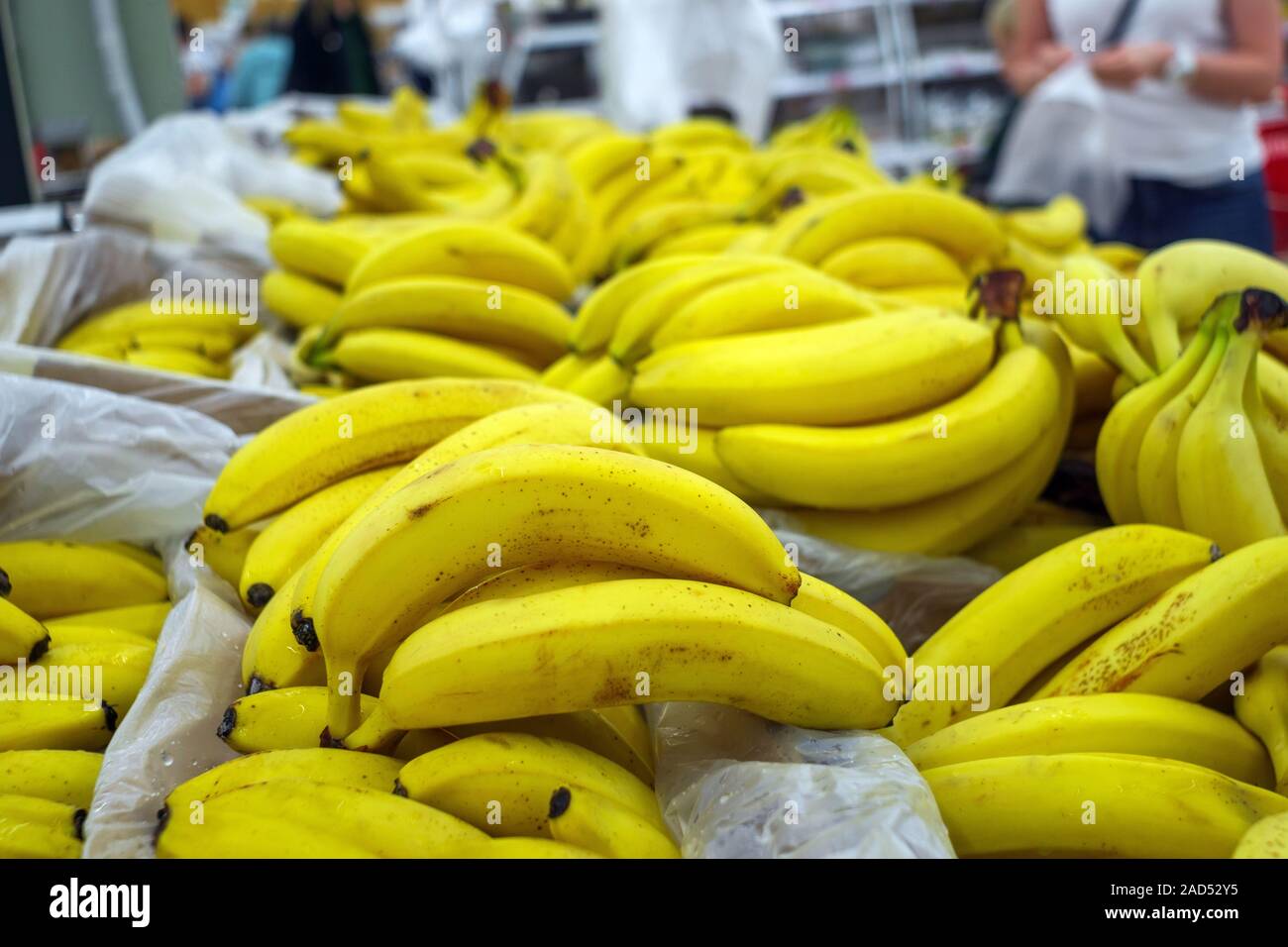bananas fruit on the market counter. Sale of ripe fruit ...