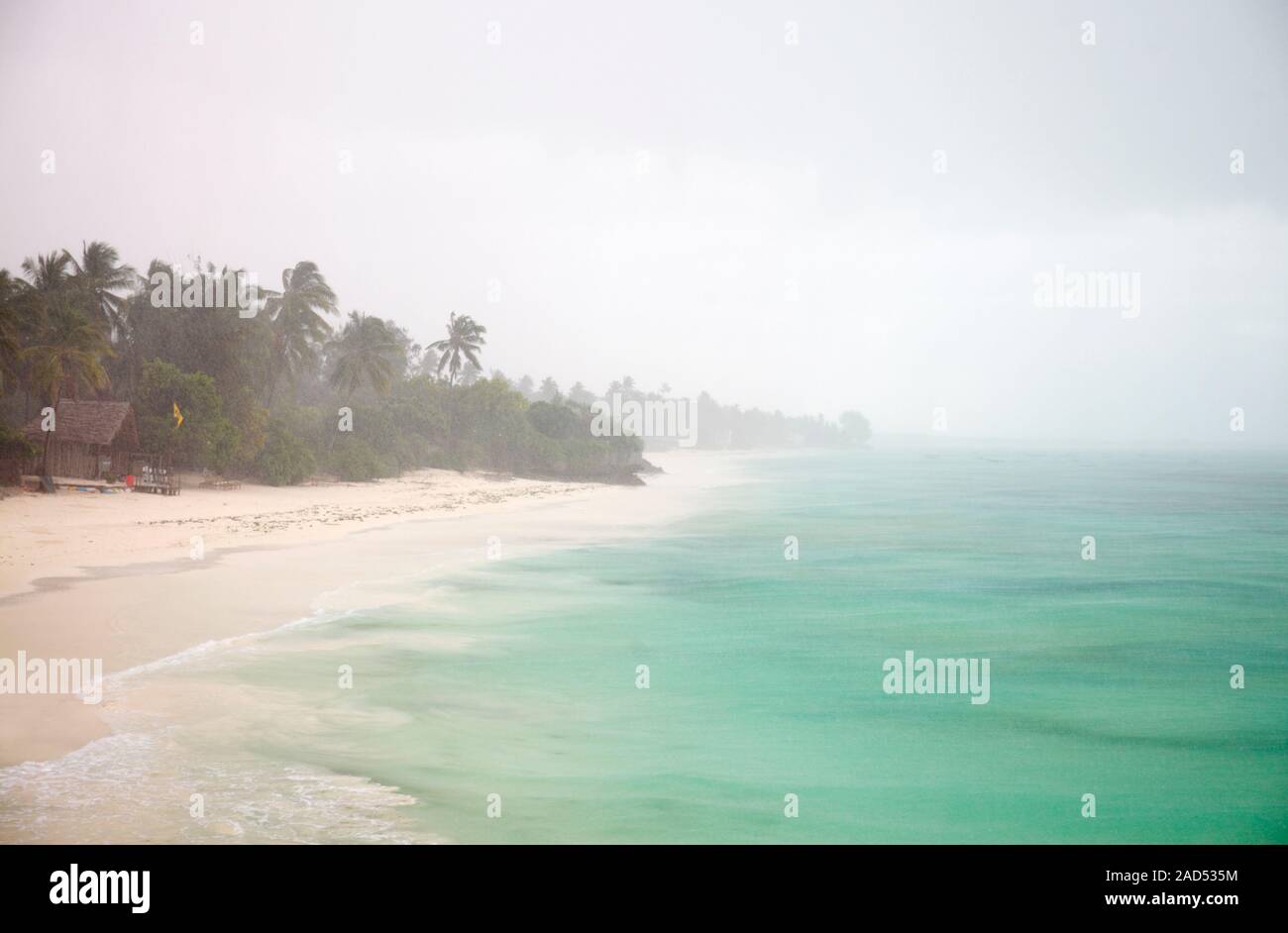 Tropical rainstorm on a beach lined with palm trees. Photographed in ...