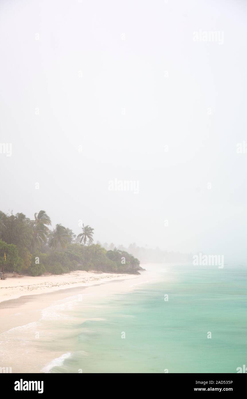 Tropical rainstorm on a beach lined with palm trees. Photographed in ...