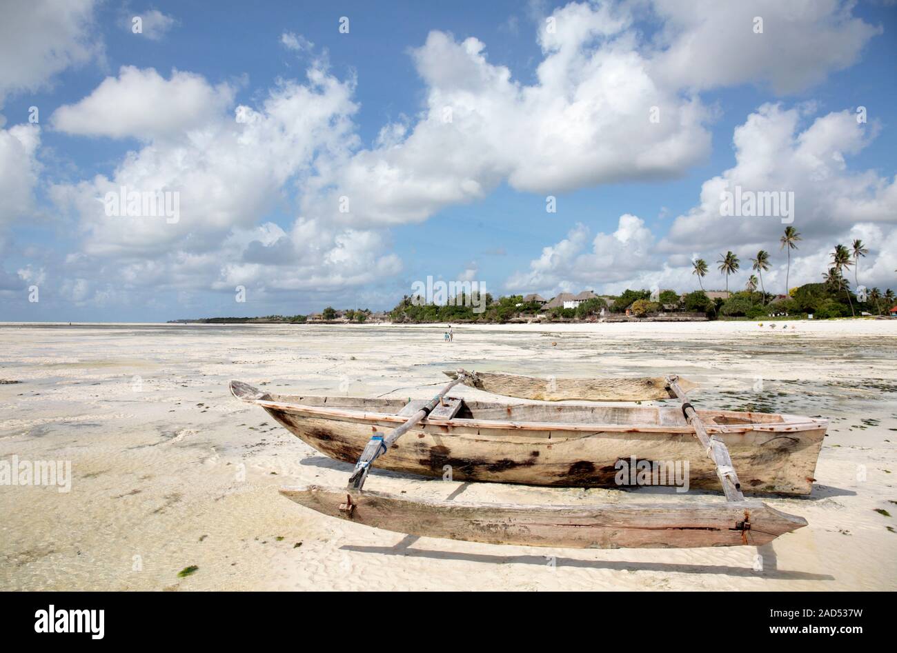 Ngalawa boat at low tide, Zanzibar. The ngalawa is a traditional double ...