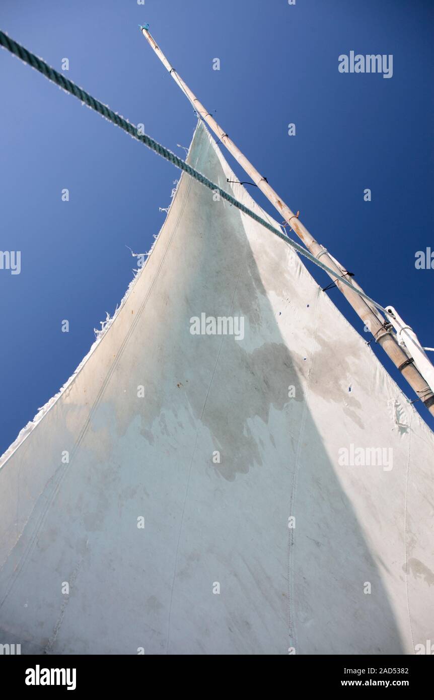Sail on a ngalawa boat, Zanzibar. Typical triangular sail of a ngalawa ...