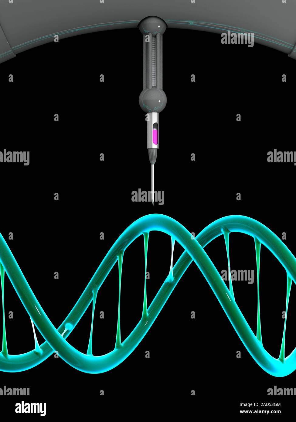 Conceptual illustration depicting the process of genetic engineering by ...