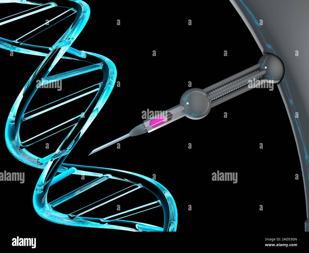 Conceptual illustration depicting the process of genetic engineering by ...
