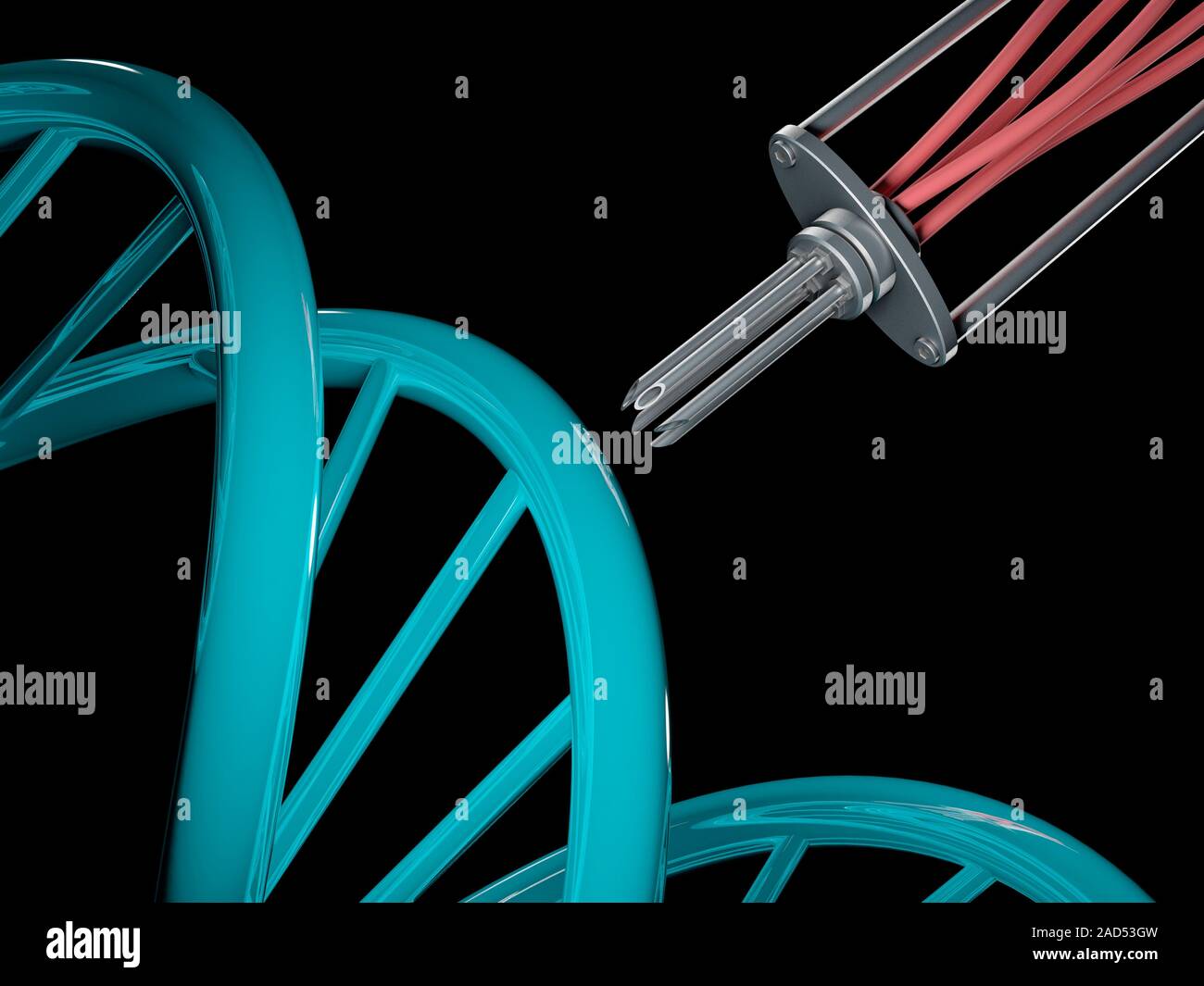 Conceptual illustration depicting the process of genetic engineering by ...