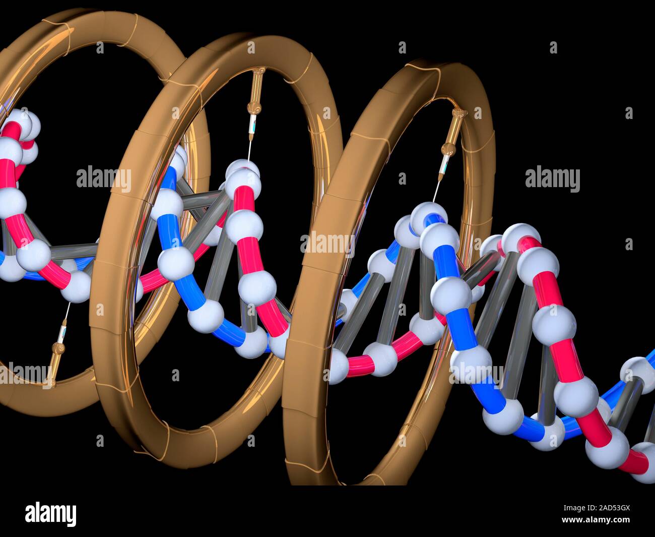 Conceptual illustration depicting the process of genetic engineering by ...
