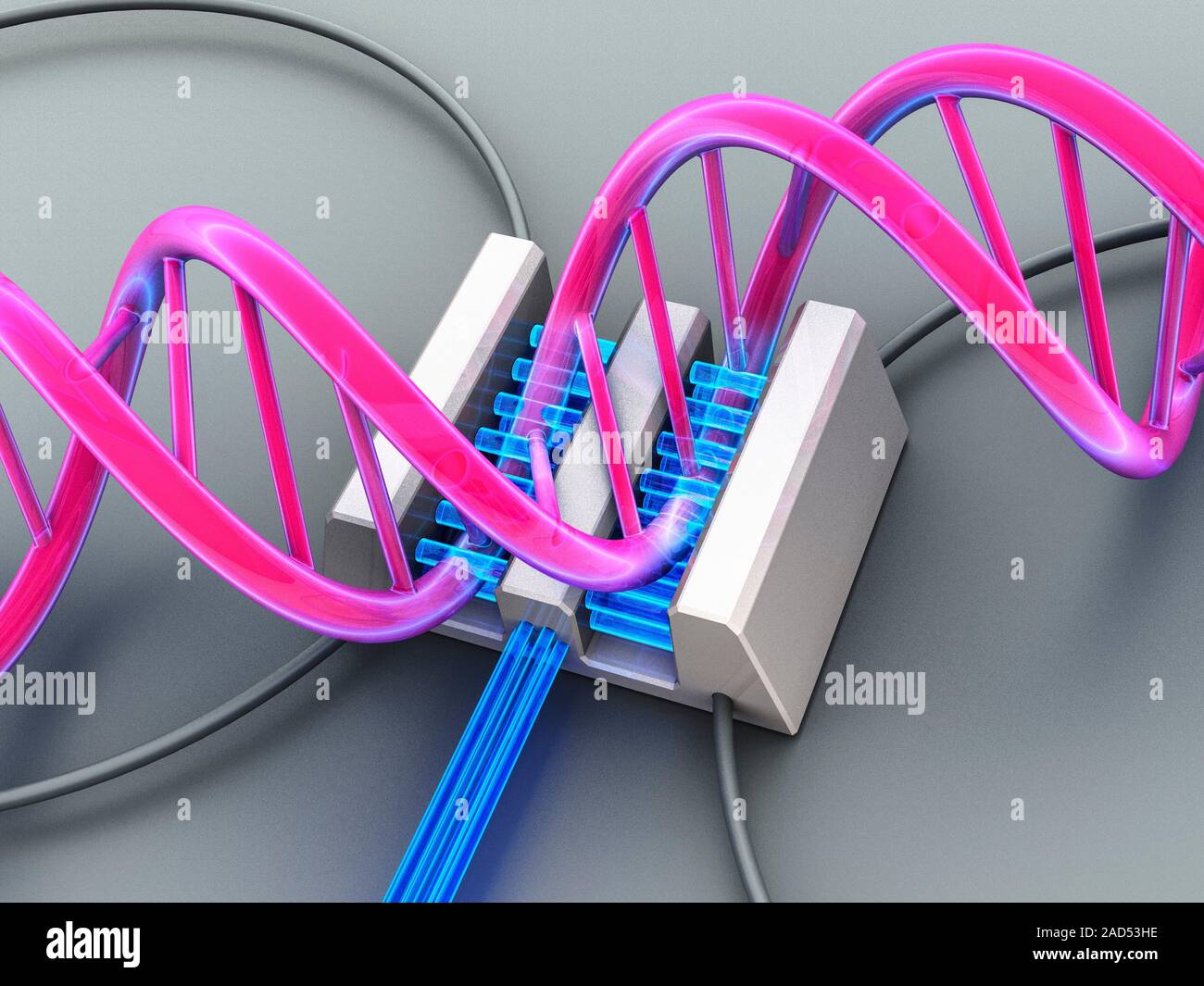 Conceptual illustration depicting the process of genetic engineering by ...