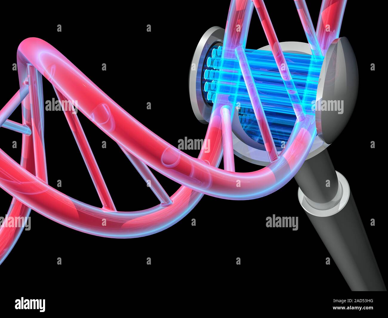 Conceptual illustration depicting the process of genetic engineering by ...