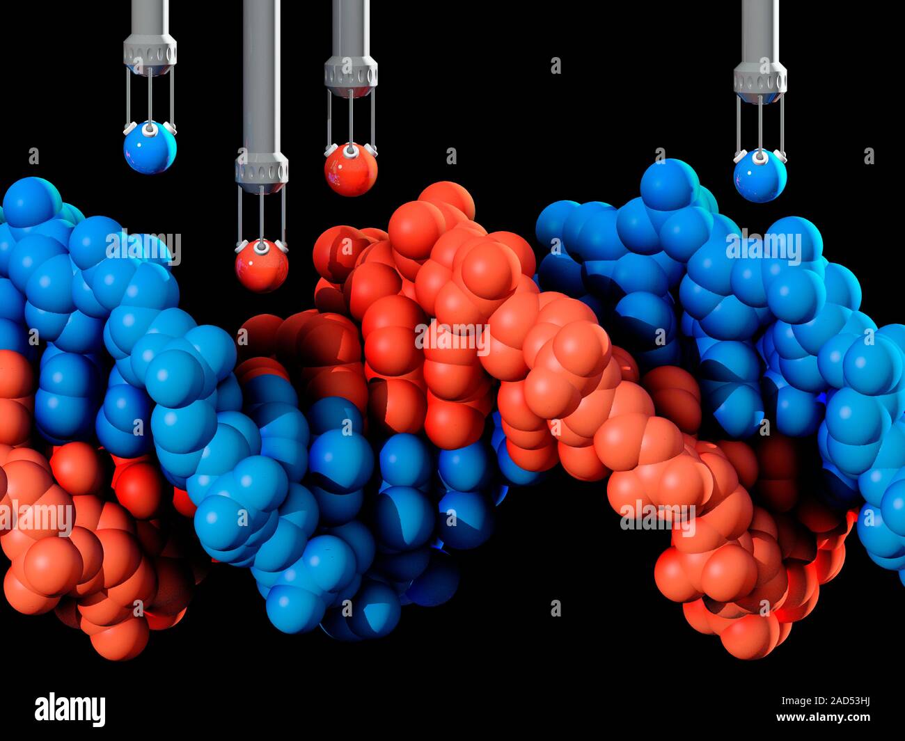Conceptual illustration depicting the process of genetic engineering by ...