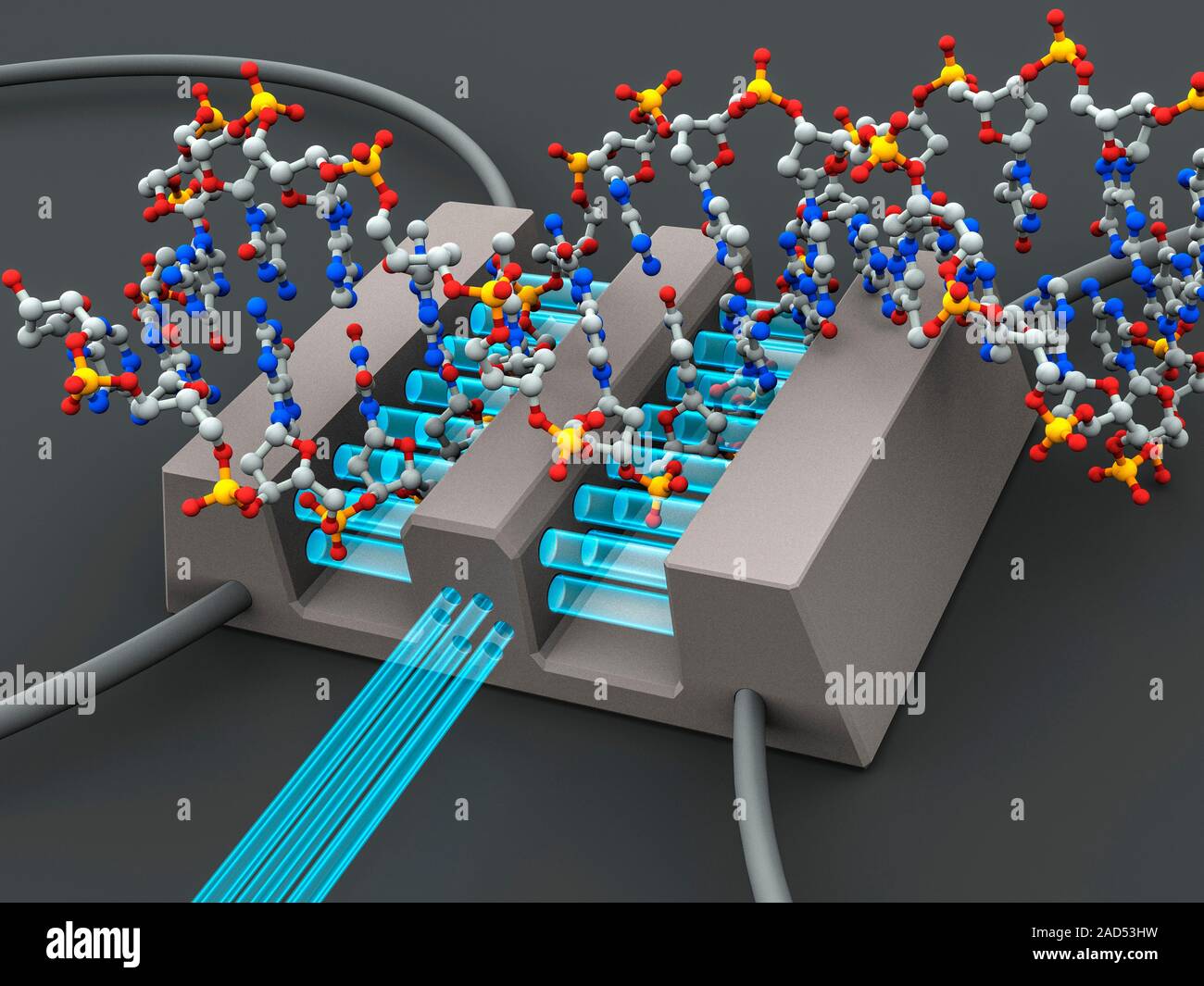 Conceptual illustration depicting the process of genetic engineering by ...