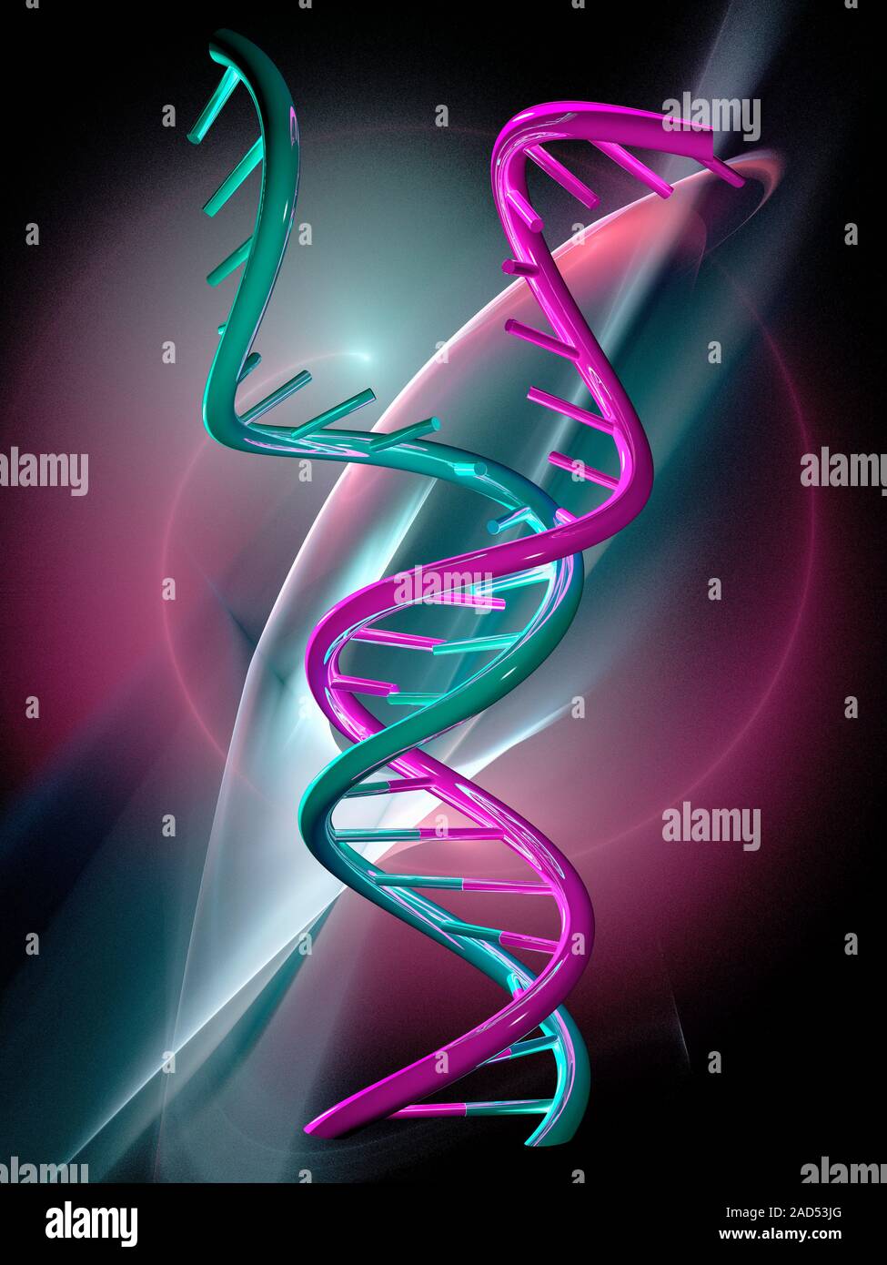 Conceptual illustration depicting the untangling of a double-stranded ...
