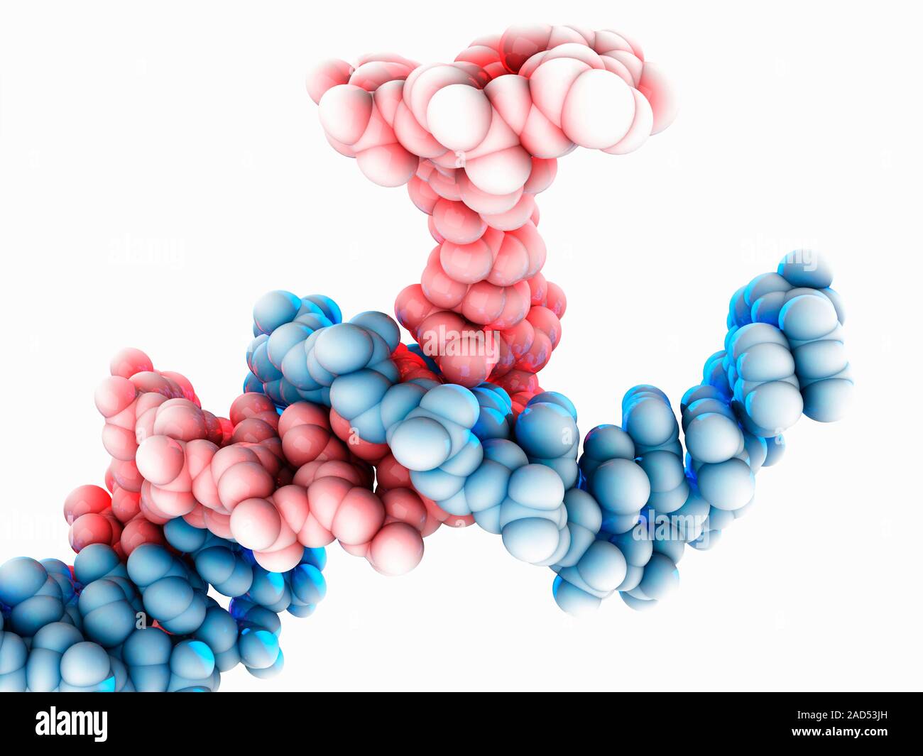 Conceptual illustration depicting the untangling of a double-stranded ...
