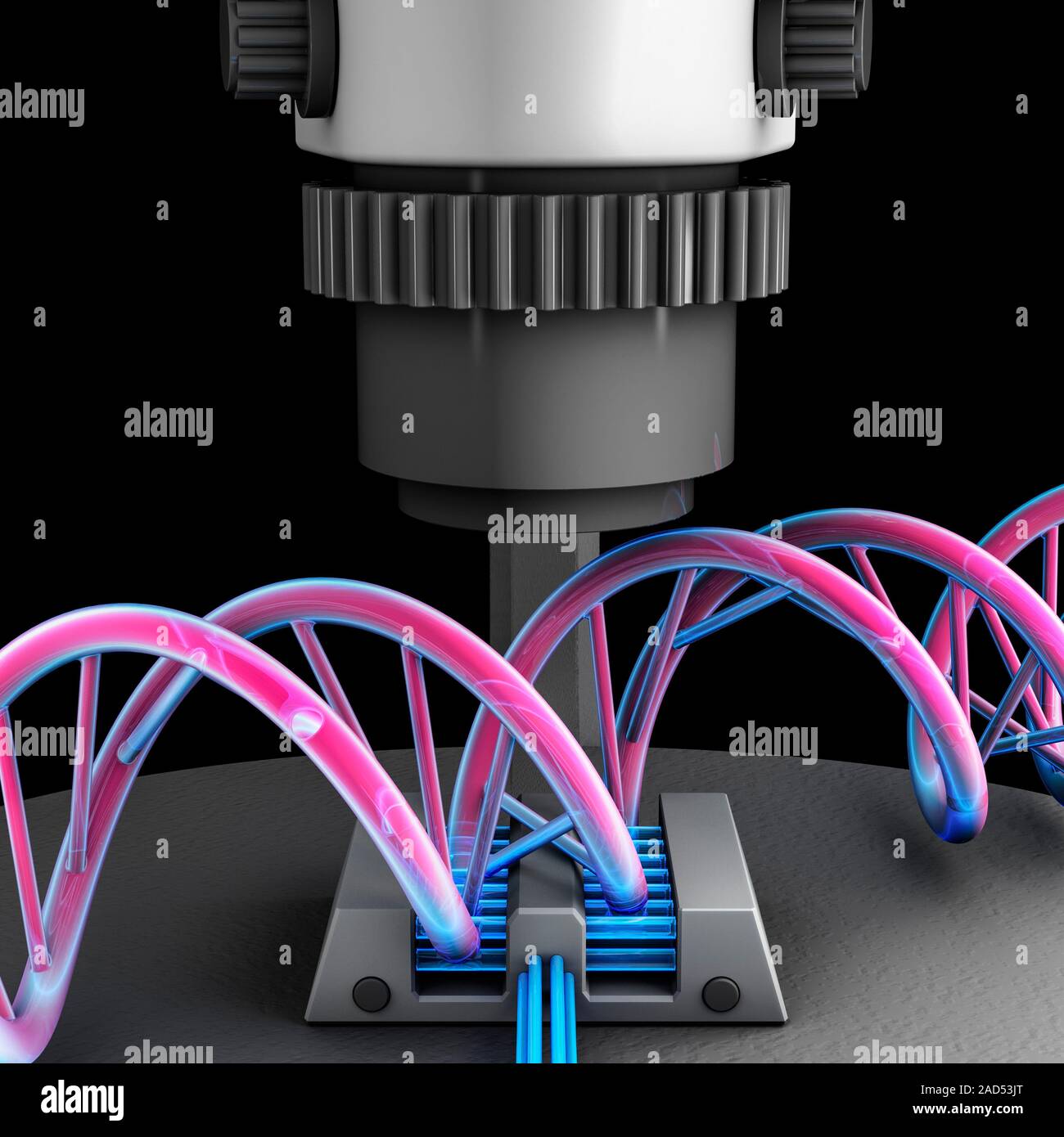 Conceptual illustration depicting the process of genetic engineering by ...
