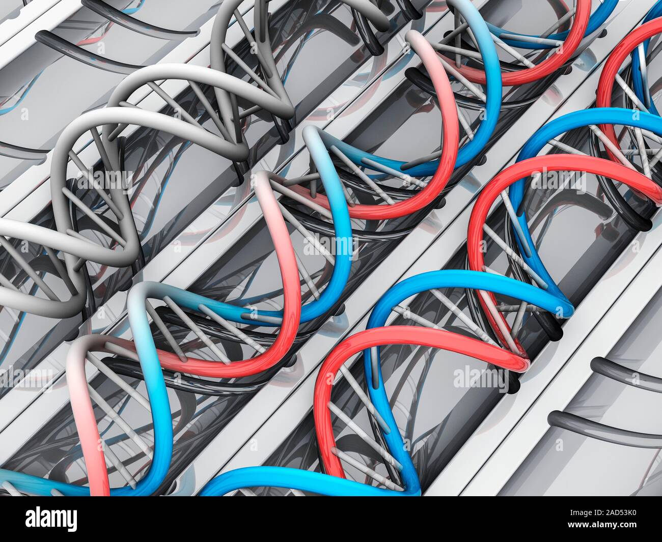 Conceptual illustration depicting the process of genetic engineering by ...