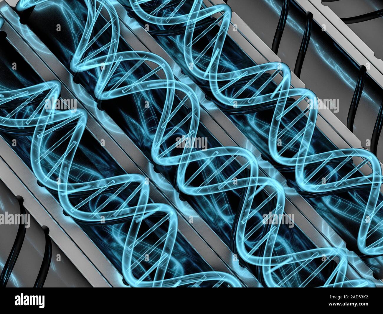 Conceptual illustration depicting the process of genetic engineering by ...