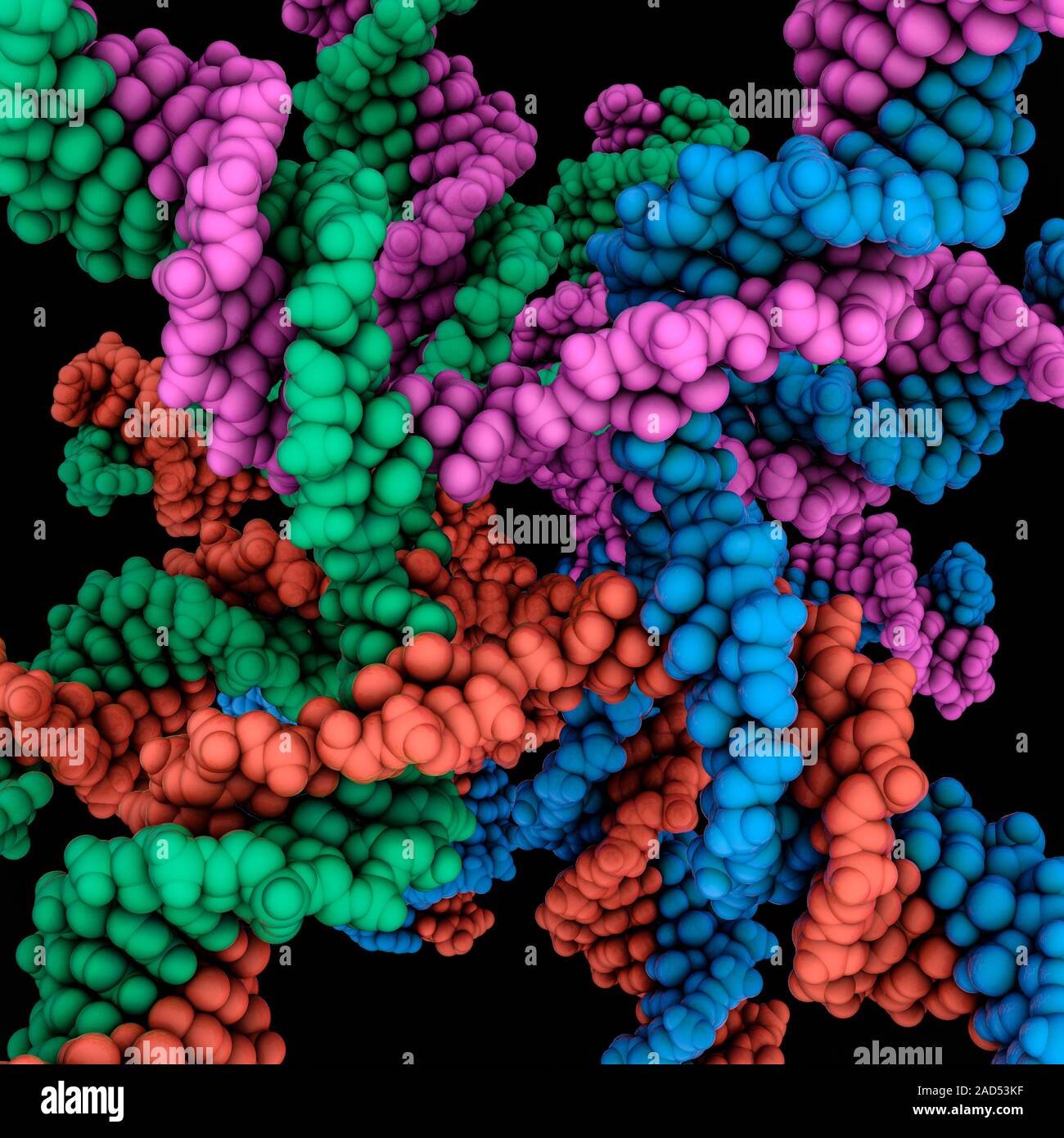 Conceptual illustration depicting the process of genetic engineering by ...