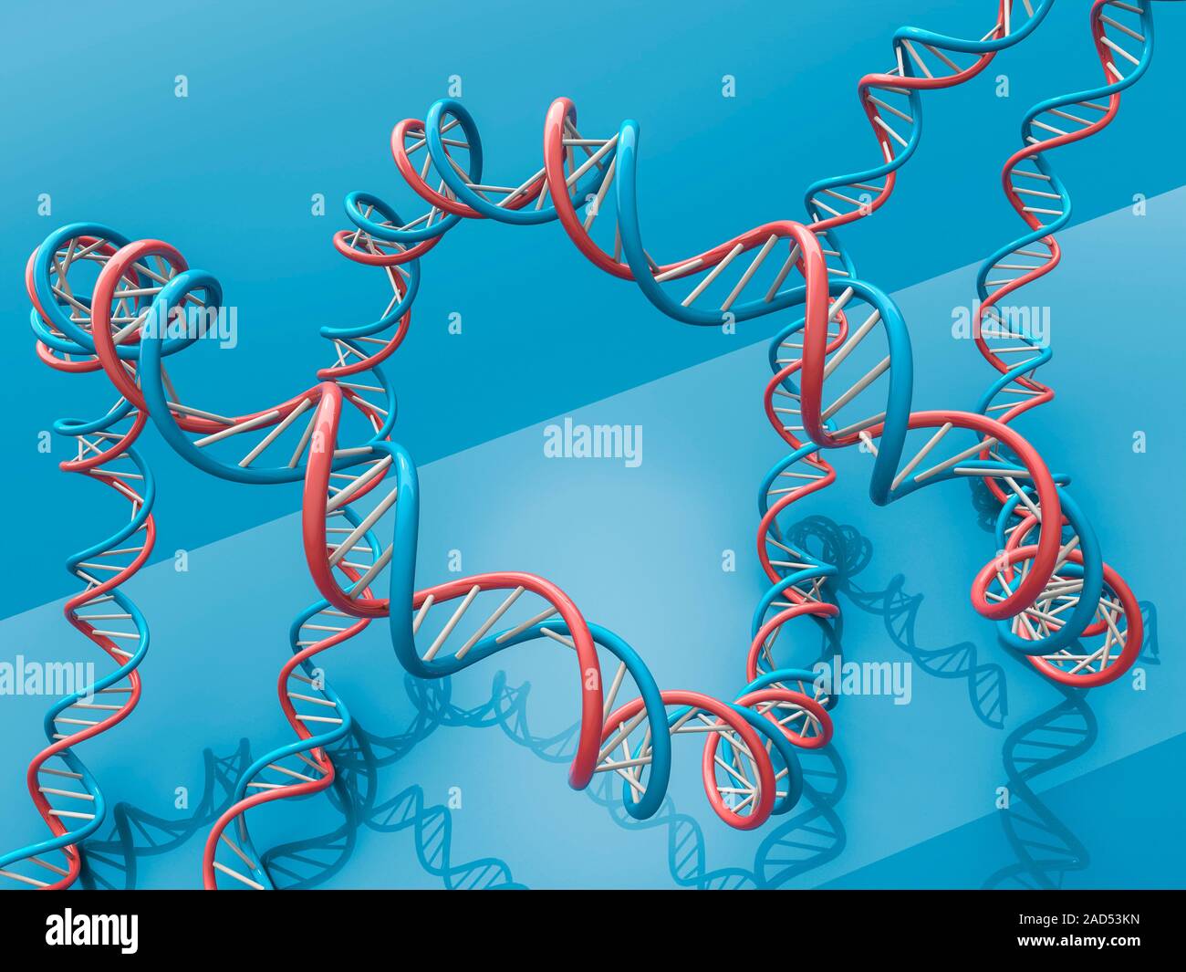 Conceptual illustration depicting the process of genetic engineering by ...