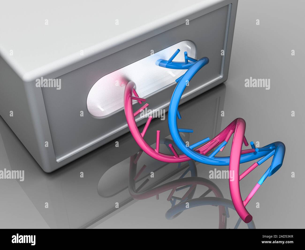 Conceptual illustration depicting the process of genetic engineering by ...