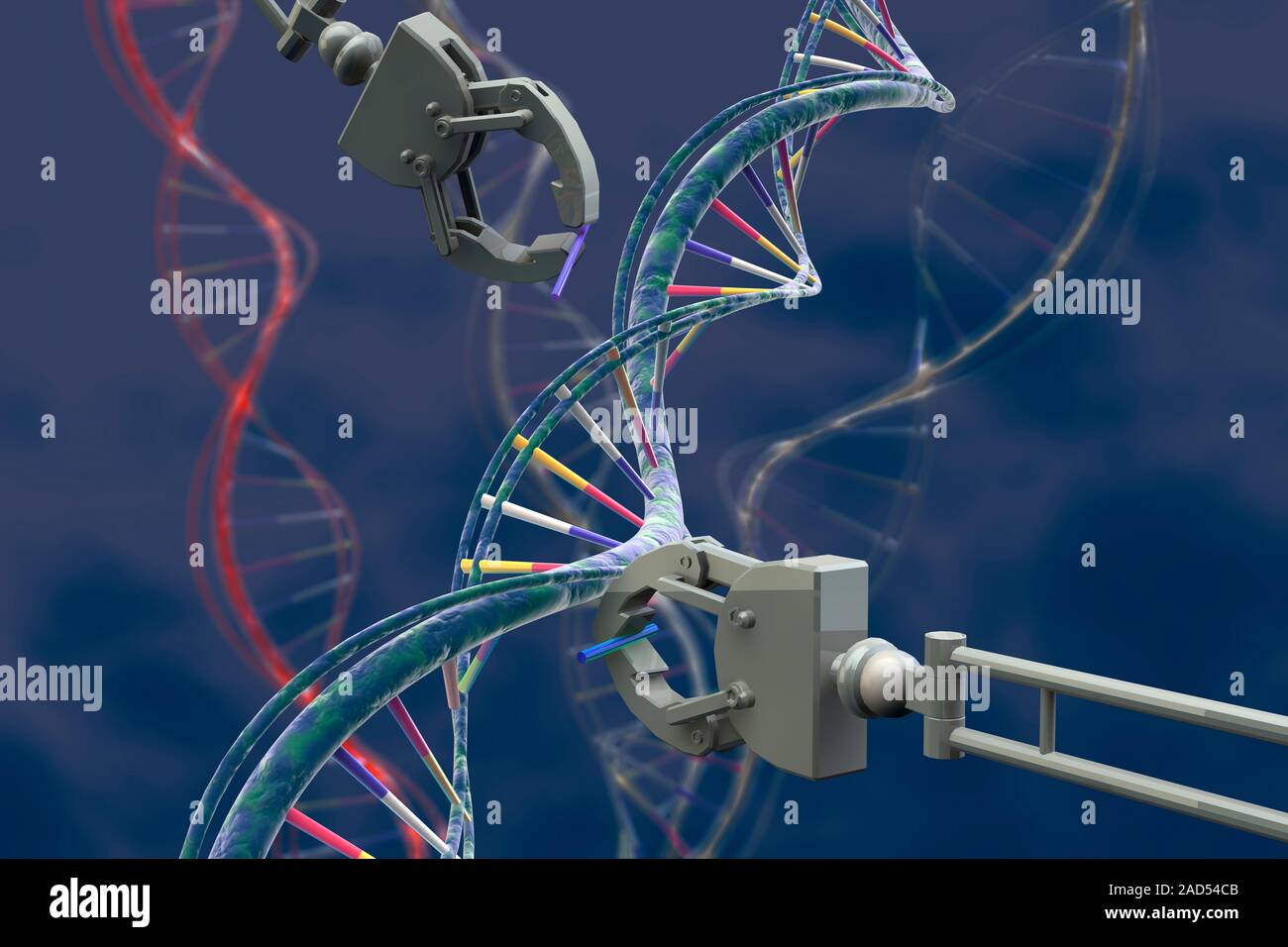 Genetic engineering, conceptual illustration. Robot hand editing a DNA ...