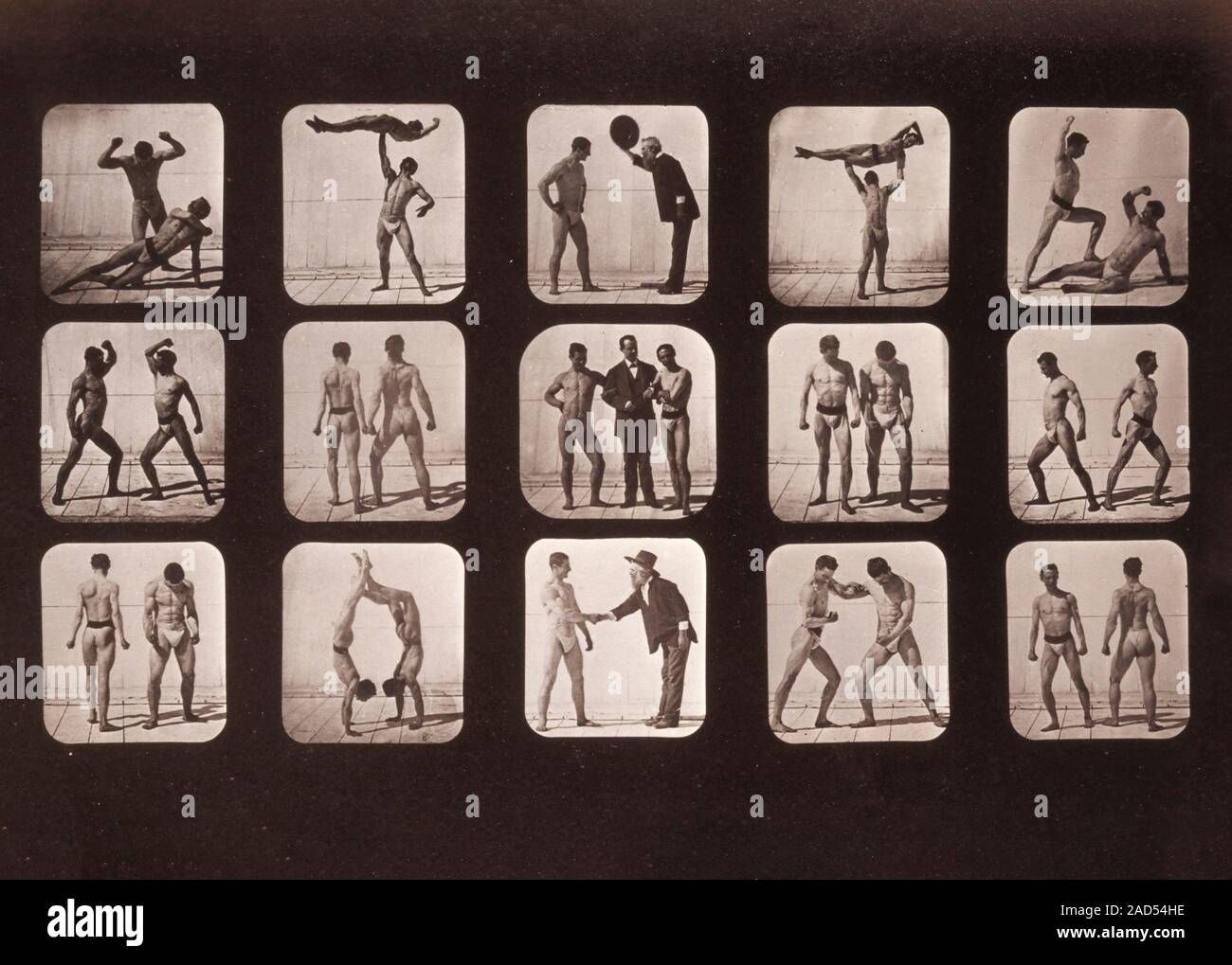 Muybridge strongman study. Series of early photographs showing two ...