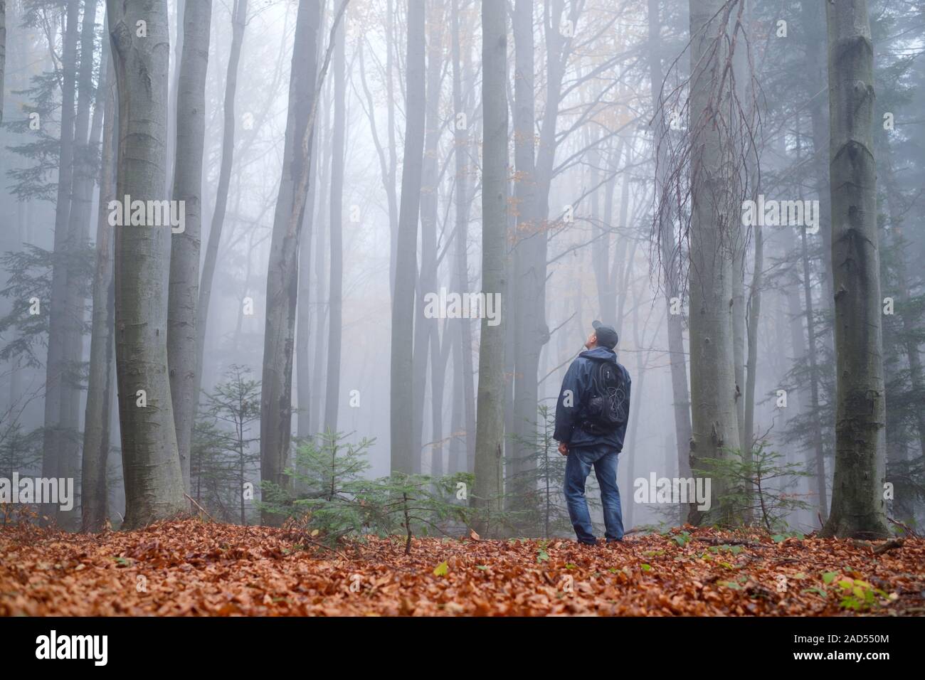 Person in dark forest hi-res stock photography and images - Alamy