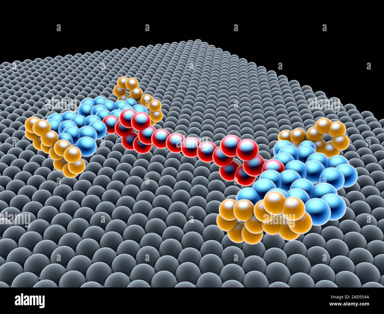 Molecular model of a molecular car, a type of molecular machine. The ...