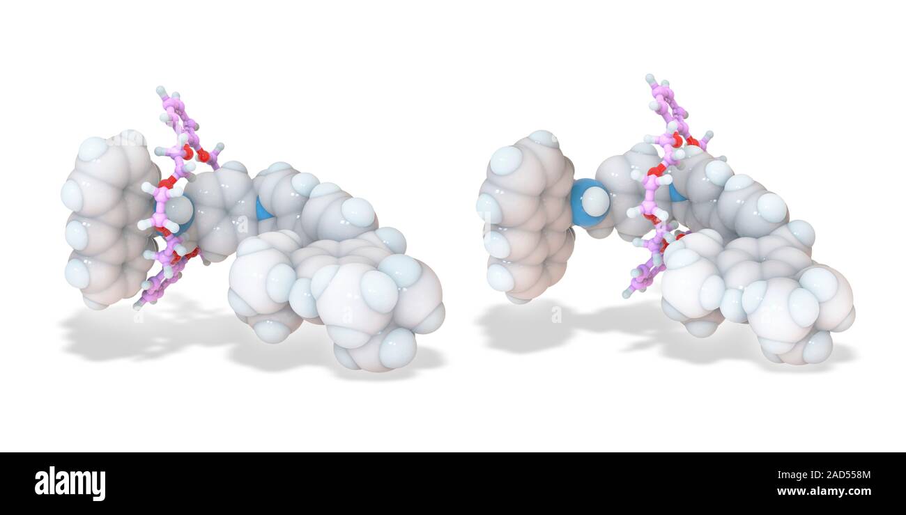 Molecular muscle. Molecular model of the two states of an acid-base ...