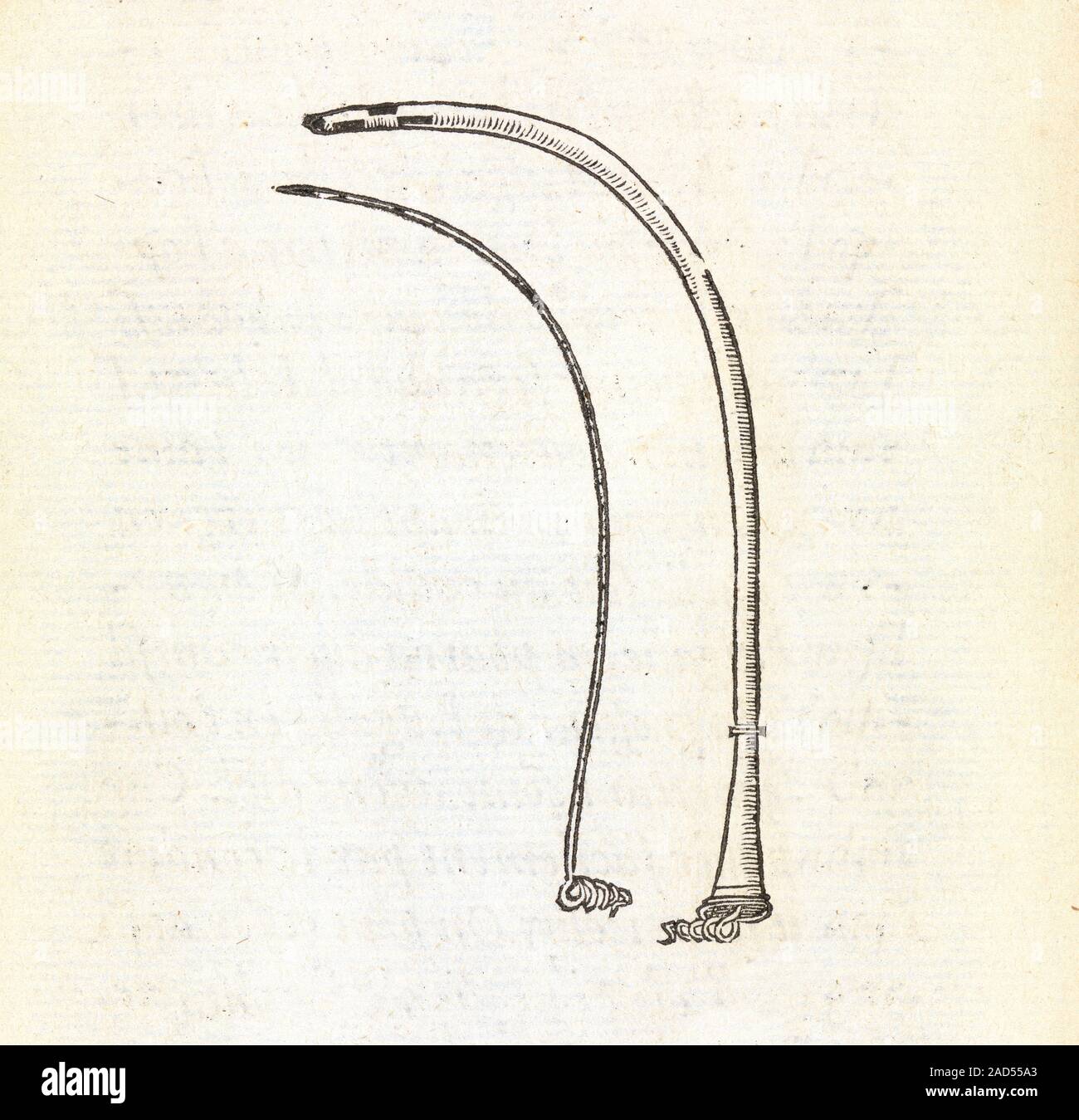 Hernia surgery instruments. 16th-century illustration of instruments used by French surgeon ...