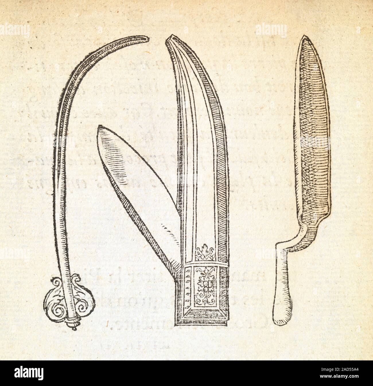 Hernia surgery instruments. 16th-century illustration of instruments used by French surgeon ...