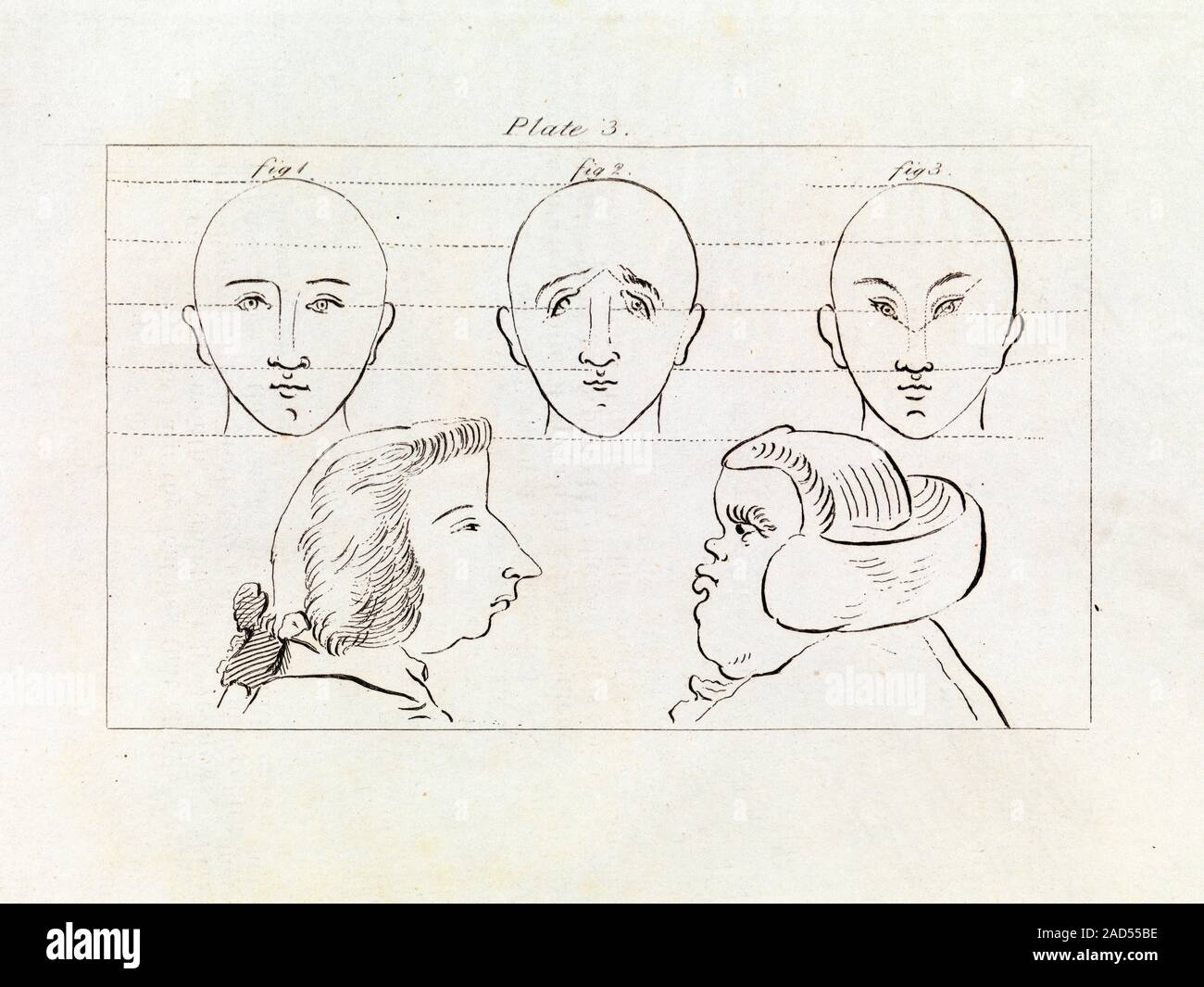 Drawing faces. 19th-century illustration showing ways of drawing faces ...