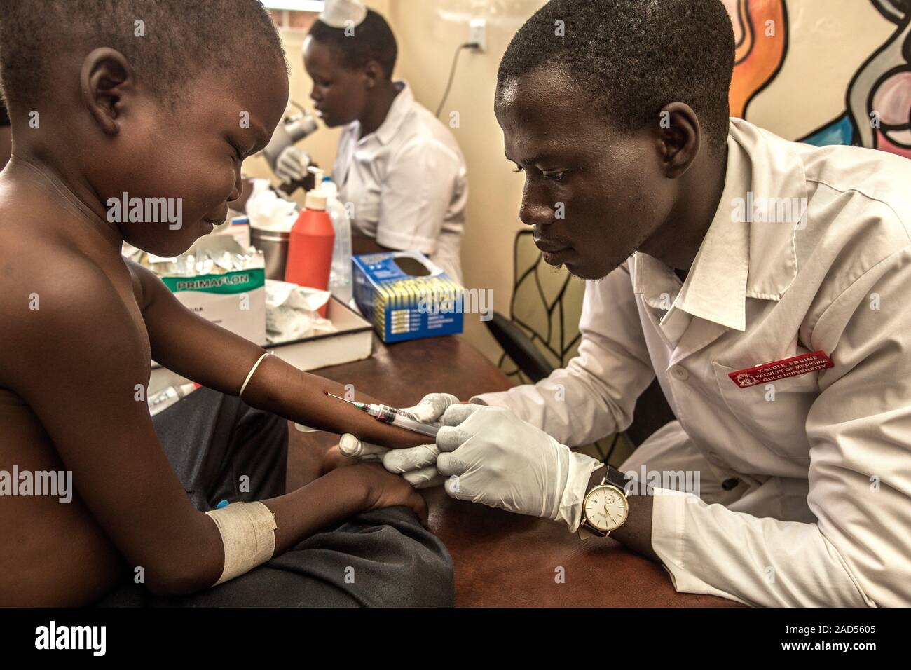Taking blood sample. Doctor taking a blood sample from a child in a ...